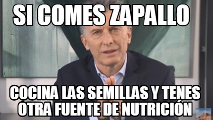 Memes De Zapallo