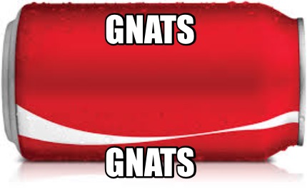 Meme Creator - Funny Gnats Gnats Meme Generator at MemeCreator.org!