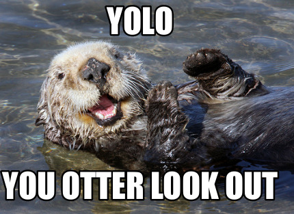 Meme Creator - Funny YOLO You otter look out Meme Generator at ...