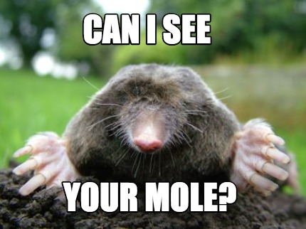 Meme Creator - Funny can I see Your mole? Meme Generator at MemeCreator ...