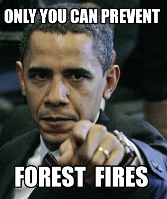 Meme Creator - Funny only you can prevent forest fires Meme Generator ...