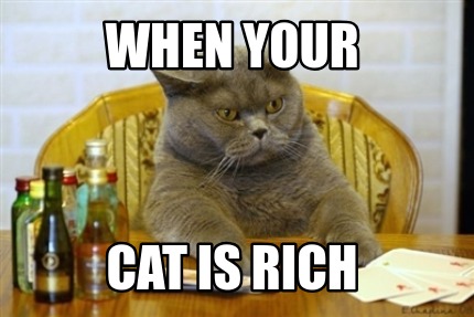 Rich Cat Meme