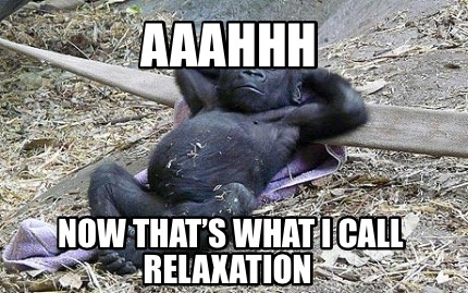 Meme Creator - Funny Aaahhh Now that’s what I call relaxation Meme ...