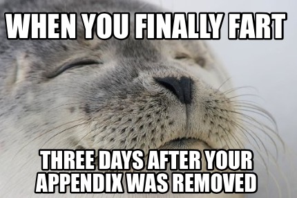 Meme Creator - Funny When you finally fart Three days after your ...