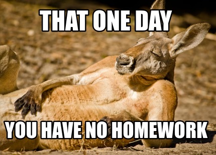 No Homework Meme
