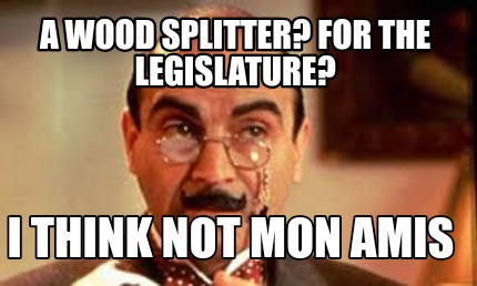 Meme Creator - Funny A wood splitter? For the Legislature? I think not ...