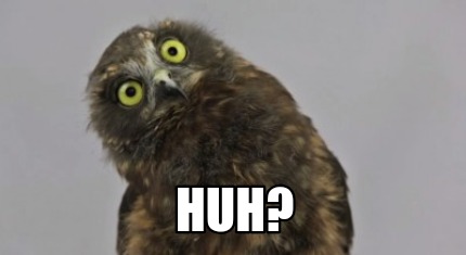 Meme Creator - Funny Huh? Meme Generator at MemeCreator.org!