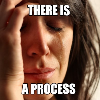 Meme Creator - Funny THERE IS A PROCESS Meme Generator at MemeCreator.org!