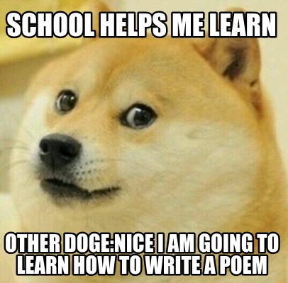 Doge Memes School