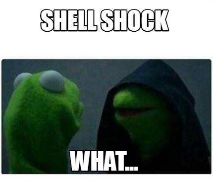 Meme Creator - Funny Shell Shock what... Meme Generator at MemeCreator.org!