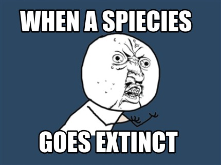 Meme Creator - Funny when a spiecies goes extinct Meme Generator at ...