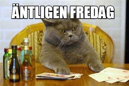 Sin Fredag Meme Profiel Voor Viggo Venn