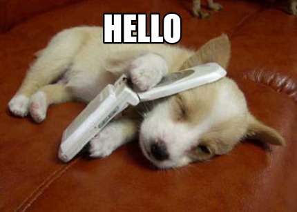 Meme Creator - Funny Hello Meme Generator at MemeCreator.org!