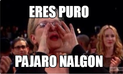 Meme Creator - Funny eres puro pajaro nalgon Meme Generator at ...