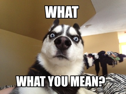 Meme Creator - Funny WHAT WHAT YOU MEAN? Meme Generator at MemeCreator.org!
