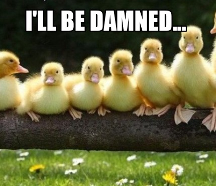 Meme Creator - Funny I'll be damned... Meme Generator at MemeCreator.org!