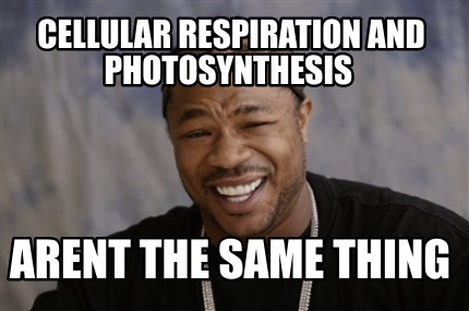 Cellular Respiration Funny