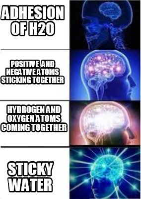 Meme Creator - Funny adhesion of H2O sticky water hydrogen and oxygen ...