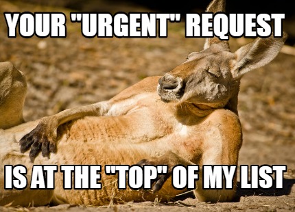Meme Creator - Funny your "urgent" request is at the "top" of my list ...