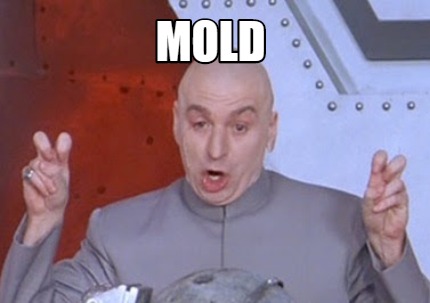 Meme Creator - Funny Mold Meme Generator at MemeCreator.org!