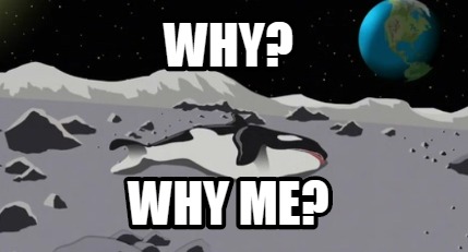 Meme Creator - Funny why? why me? Meme Generator at MemeCreator.org!