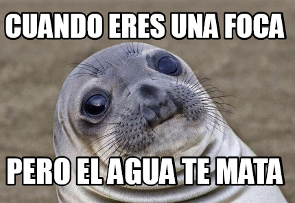 Memes De Focas En El Agua
