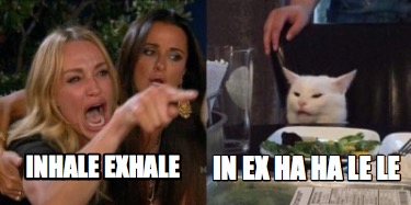 a pregati numai Ce drăguț inhale memes Independent Amplificator fizician