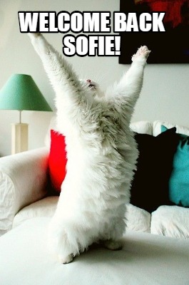Meme Creator - Funny Welcome back sofie! Meme Generator at MemeCreator.org!