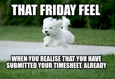 Timesheet Meme Dog