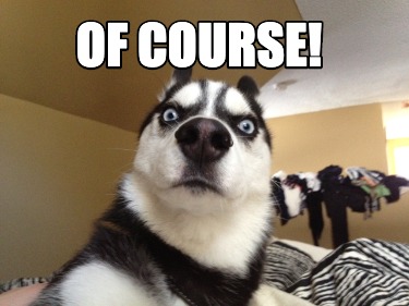 Meme Creator - Funny Of course! Meme Generator at MemeCreator.org!