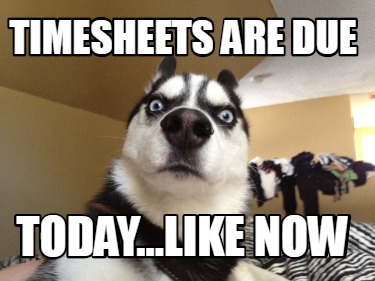Meme Creator - Funny Timesheets are due today...Like now Meme Generator ...