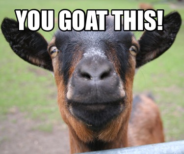 Meme Creator - Funny You Goat This! Meme Generator at MemeCreator.org!