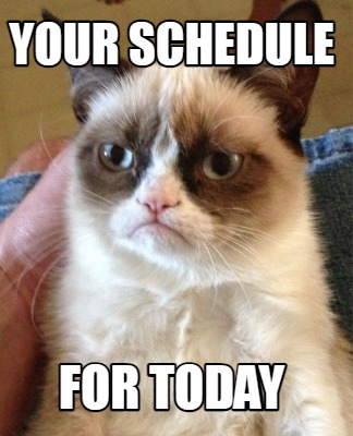 Meme Creator - Funny Your Schedule For Today Meme Generator at ...