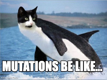 Meme Creator - Funny Mutations be like... Meme Generator at MemeCreator ...