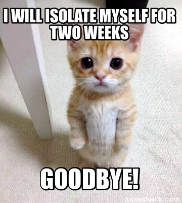 Meme Creator - Funny i will isolate myself for two weeks goodbye! Meme ...