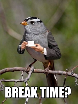 Meme Creator - Funny break time? Meme Generator at MemeCreator.org!