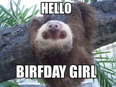 Happy Birthday Sloth Meme
