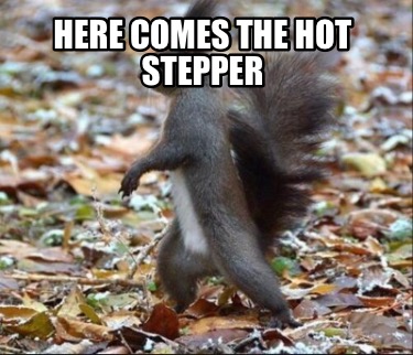 Meme Creator - Funny Here Comes the Horizontal Stepper Meme Generator ...