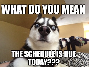 Meme Creator - Funny WHAT DO YOU MEAN THE SCHEDULE IS DUE TODAY??? Meme ...