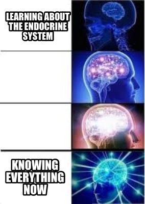 Meme Creator - Funny Learning about the endocrine system Knowing ...