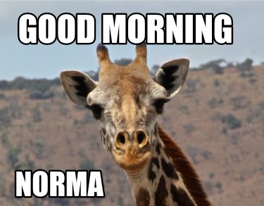 Meme Creator - Funny Good morning Norma Meme Generator at MemeCreator.org!