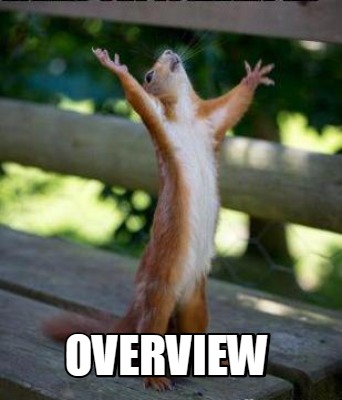 Meme Creator - Funny Overview Meme Generator at MemeCreator.org!