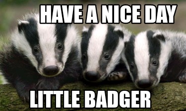 Honey Badger Birthday Meme