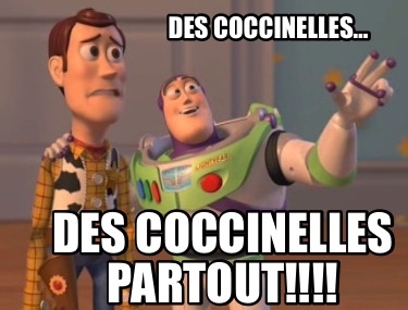 Meme Creator - Funny Des coccinelles… Des coccinelles Partout!!!! Meme ...