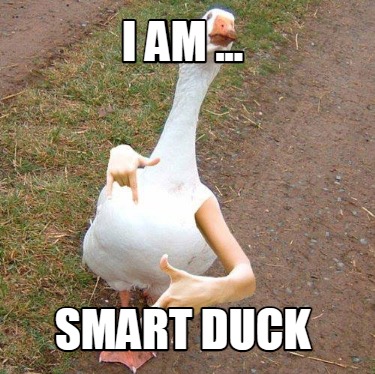 Meme Creator - Funny I am ... SMART DUCK Meme Generator at MemeCreator.org!