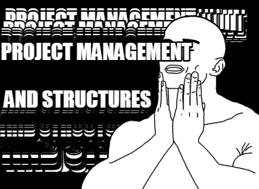 Meme Creator - Funny Project management And structures Meme Generator ...