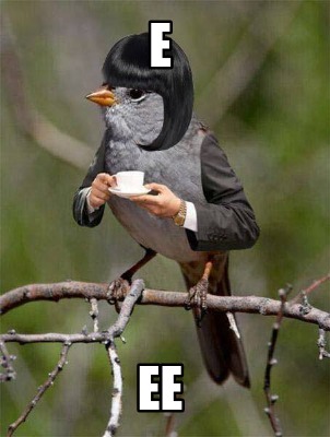 Meme Creator - Funny e ee Meme Generator at MemeCreator.org!