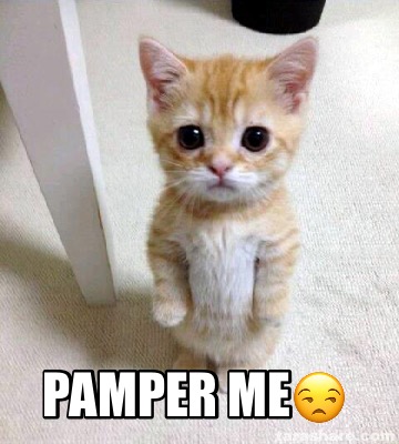 Meme Creator - Funny Pamper me???? Meme Generator at MemeCreator.org!