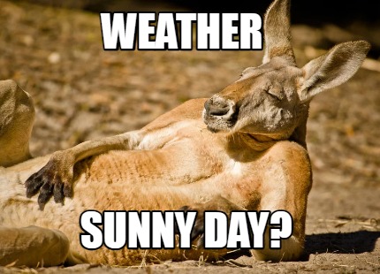 Meme Creator - Funny weather sunny Day? Meme Generator at MemeCreator.org!