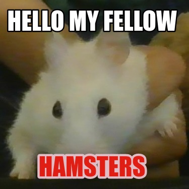 Meme Creator - Funny hello my fellow HAMSTERS Meme Generator at ...